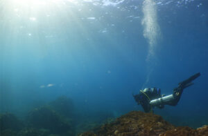 料金・コース | 愛知県豊田市のダイビングショップ・スクール ソットマリノ